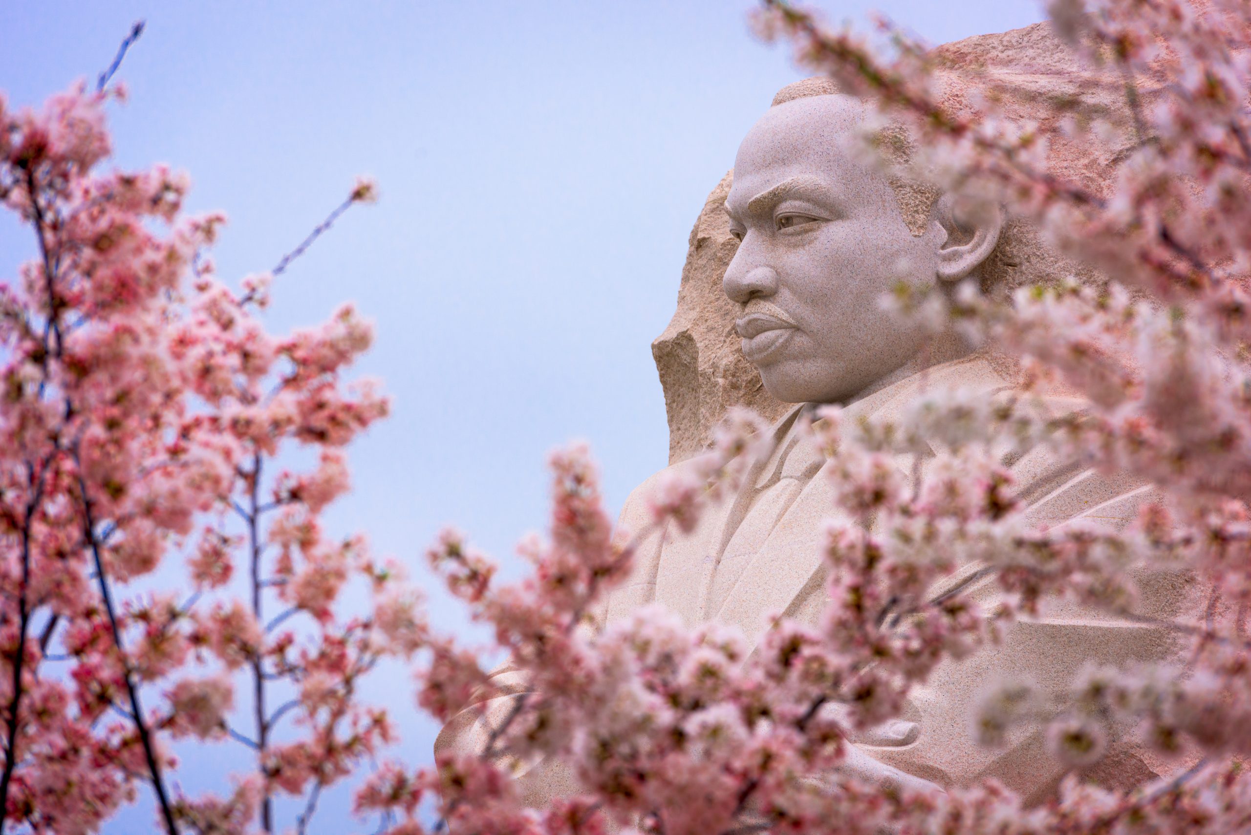 Eight Ways to Celebrate Martin Luther King, Jr. Day in the Classroom ...