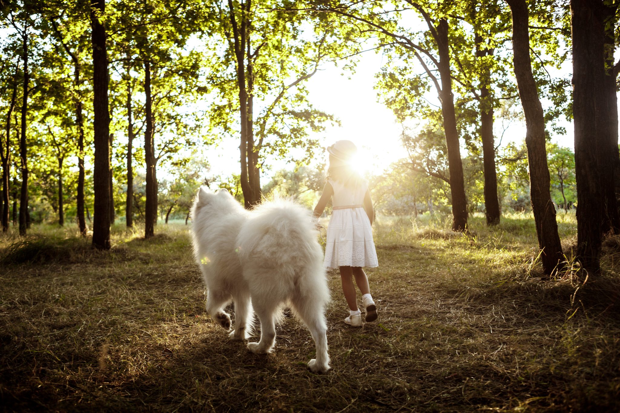 10 Things to Do on a Walk for More Memorable Moments With Your Kids ...