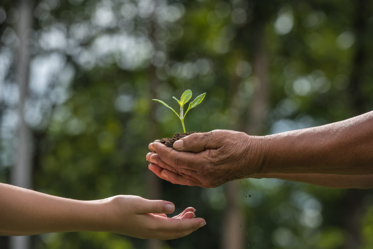 What Environmental Factors Affect Health? - Penn State PRO Wellness