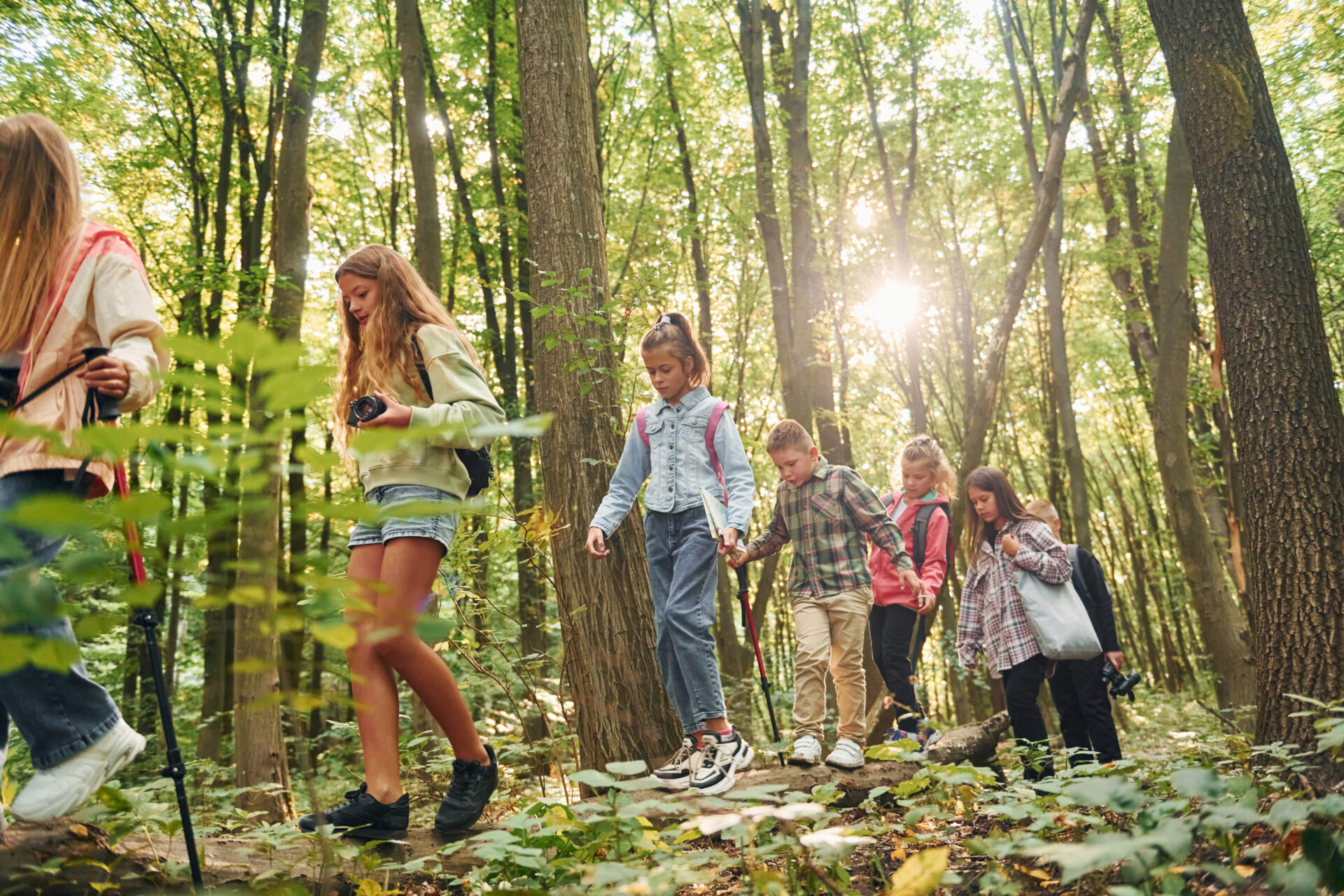 10 Eco-friendly Activities for Kids to Celebrate World Environment Day ...